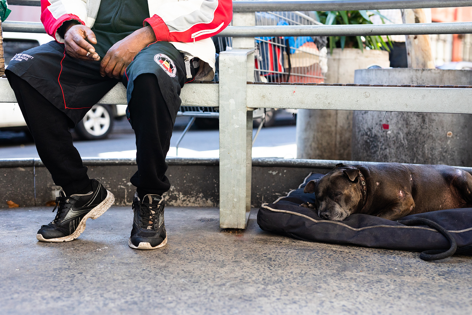 Loyal Companions - Inner Circle